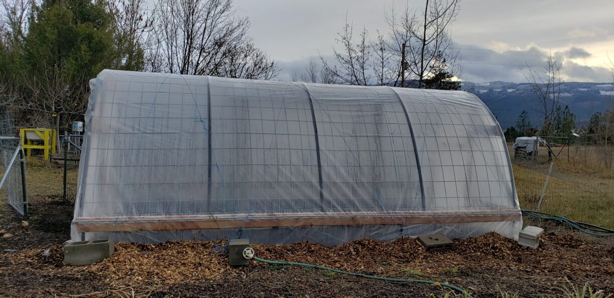 Cattle Panel Greenhouse Construction – News From The Nest